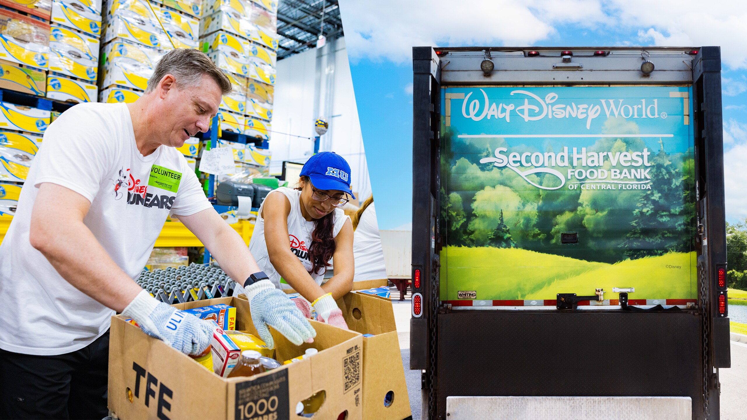 Environmental Sustainability | Disney Meetings & Events