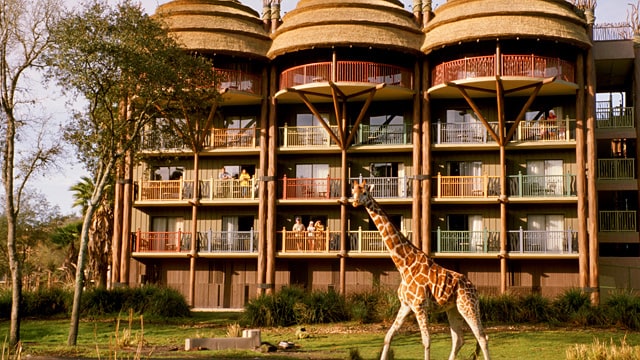 Disney's Animal Kingdom Villas – Jambo House | Disney Vacation Club