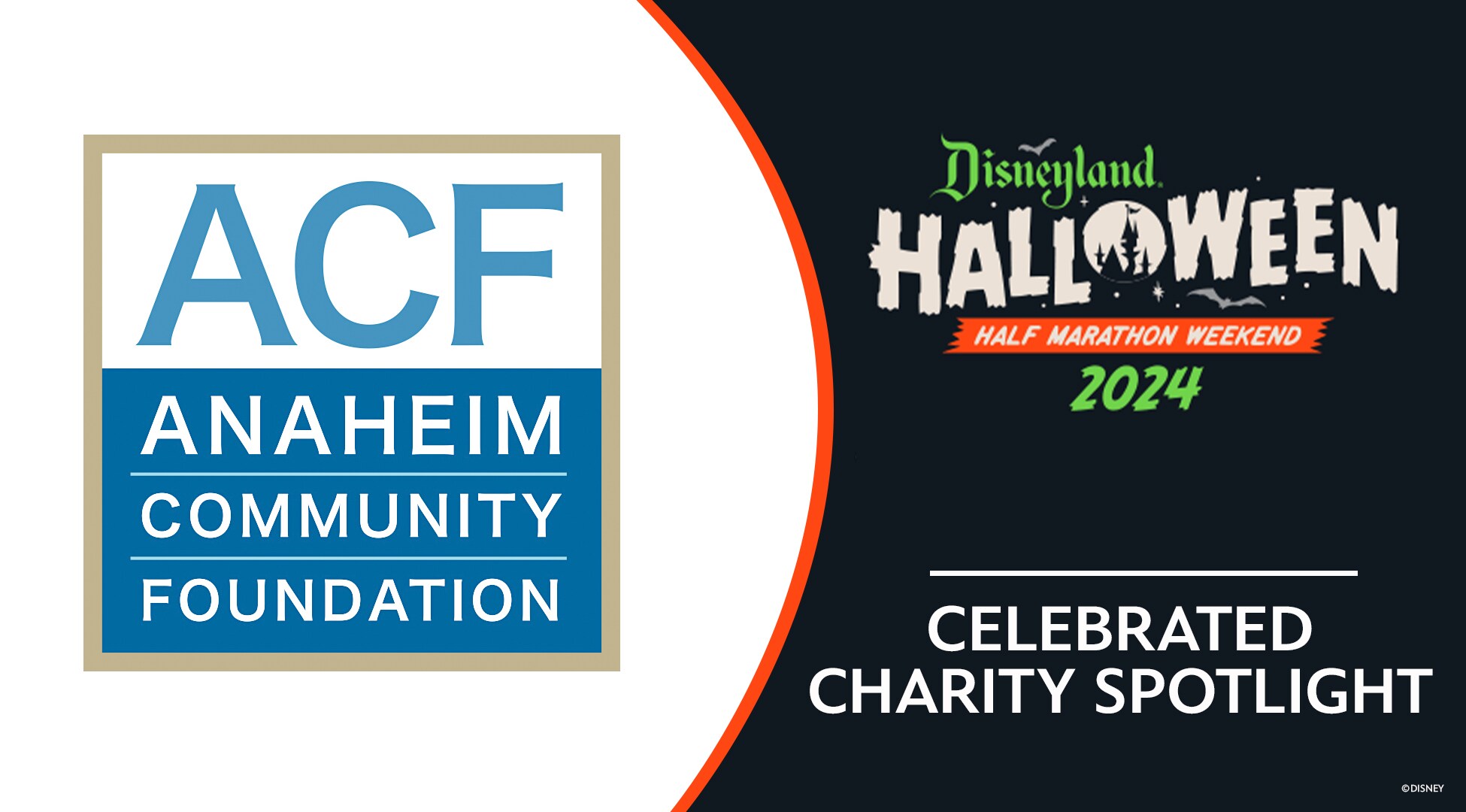 runDisney Celebrated Charity Spotlight: Anaheim Community Foundation ...